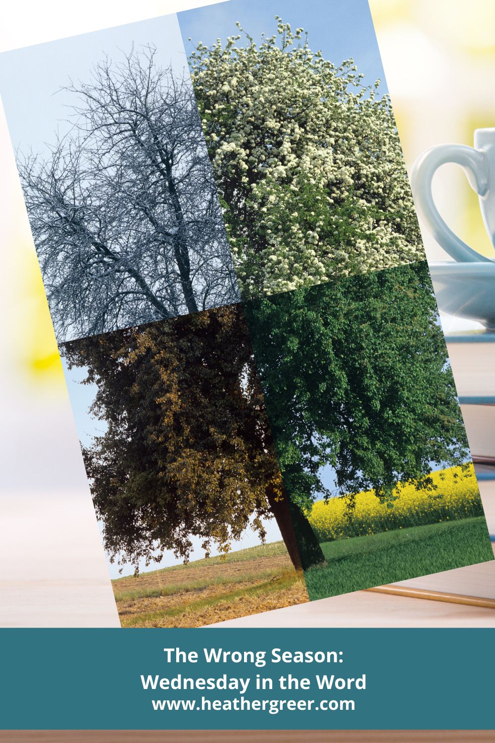 The Wrong Season: Wednesday in the Word (a day late) - Heather Greer ...